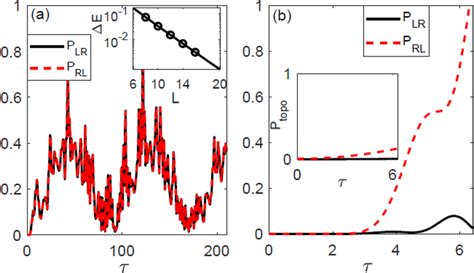topological transport with and without non hermitian skin download