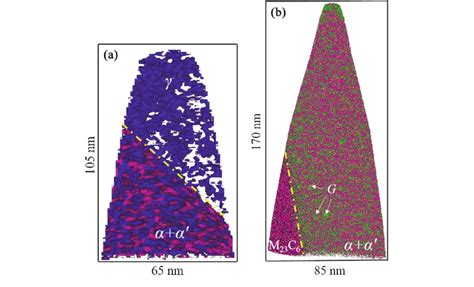 Apt Tip Reconstructions Showing A Spinodal Decomposition Of The Ferrite