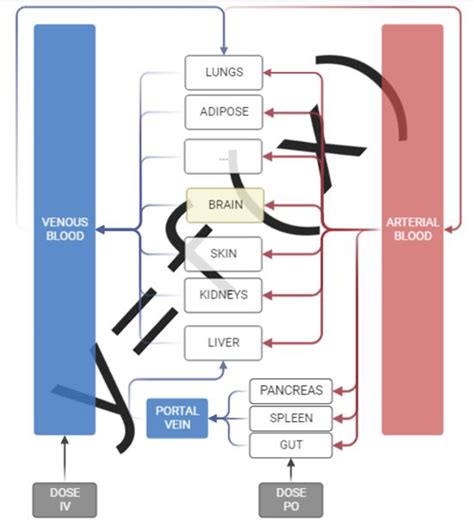 Accord Conference On Linkedin Model Informed Drug Development Midd Midd Approach Combines