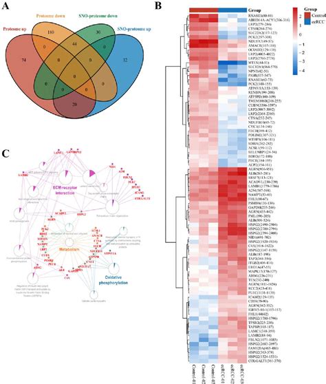 Figure 6 From Multi Omics Approach Reveals Redox Homeostasis