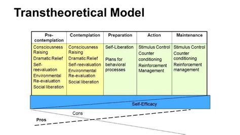 Transtheoretical Model Cartoon