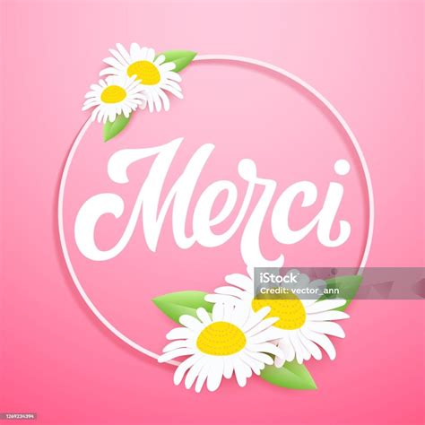 메르시 프렌치 감사 는 아름다운 카모마일 꽃 파스텔 핑크 배경에 녹색 잎 데이지와 원 프레임에 손으로 문자 브러시 를 감사합니다 0명에 대한 스톡 벡터 아트 및 기타 이미지
