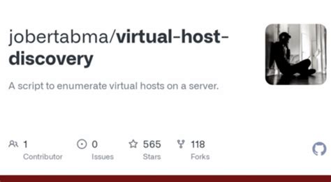 Virtual Host Scanner On Offsec Tools