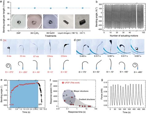 Bending‐unbending Deformations Of Lpcf A Specified Bending Angle Of