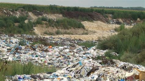 На Хмельниччині поряд з населеним пунктом виявили несанкціоноване звалище з рештками тварин