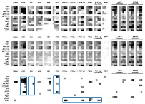 Gene Knockout Experiments 4 16 Perturbations × 15 Gene Expressions ×