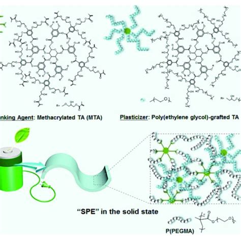 Pdf Development Of The Peo Based Solid Polymer Electrolytes For All