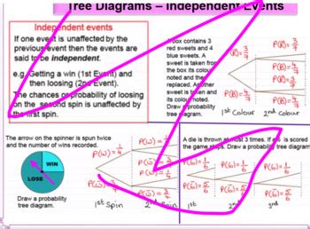 Tree Diagrams Fully Planned Lesson TPT
