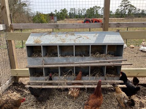 Gallery 1 — Sunshine Acres Farm