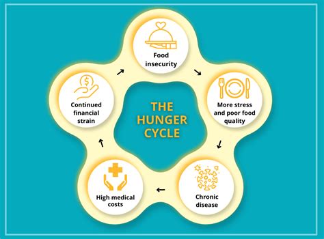 The Hunger Cycle Explained Nourishing Neighbors