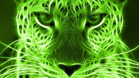 300 Neon Green Backgrounds