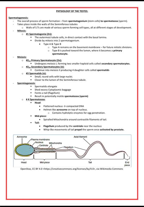 Sexual Reproductive Health Mednotes Babe