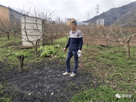 关注茂县赋权执法依法查处违规野外用火行为一 防火期 森林 桂某某