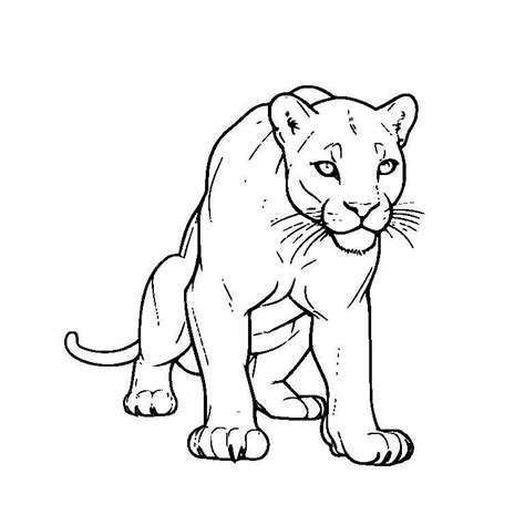 Free Phanter Svg K40 Laser Cutter