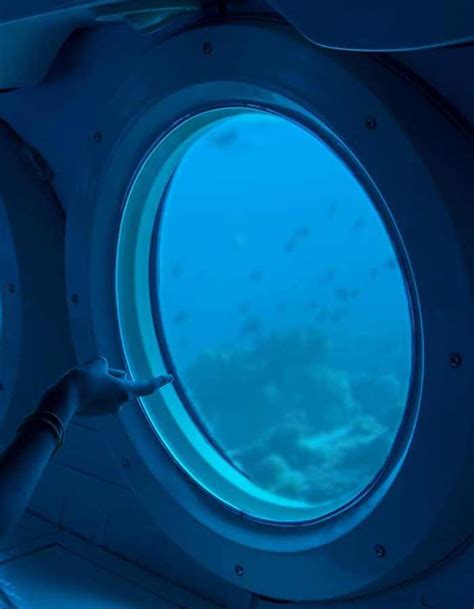 This One Of A Kind Submarine Ride In Cozumel Will Blow Your Mind