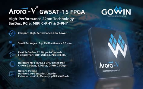 GOWIN GW AT Low Cost FPGA Provides High Speed Video Interfaces Up To K At FPS CNX Software