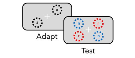 The Co Ordinate Mapping Between Adapting Stimuli A And Retinotopic