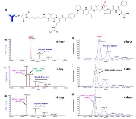 Lc Ms Based Intact Protein Analysis Service Mtoz Biolabs