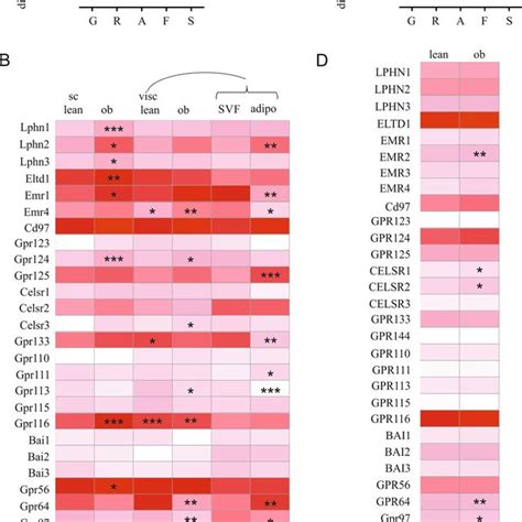 The Gpcr Repertoire In Adipose Tissue And Its Regulation Under High Fat Download Scientific
