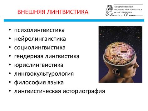 Объект, предмет, цели и задачи современного языкознания - презентация ...