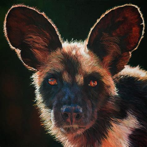 African Wild Dog Nayartist