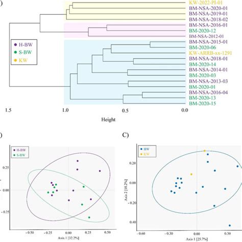 A Dendrogram Using Jaccard Distances Shows The Hierarchical Download Scientific Diagram