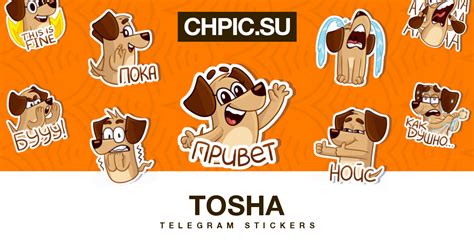 Tosha Telegram Stickers