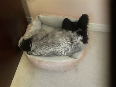 Purging A Sql Server Express Database