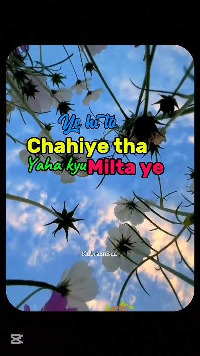 kubra khan about korean dramas funny video kubrakhan musicgenre