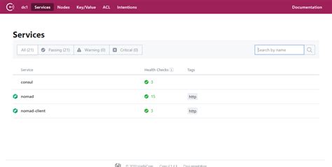 Nomad cluster のセットアップ