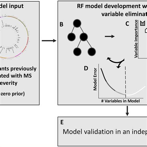 Schematic Diagram Of The Random Forest Rf And Variable Elimination