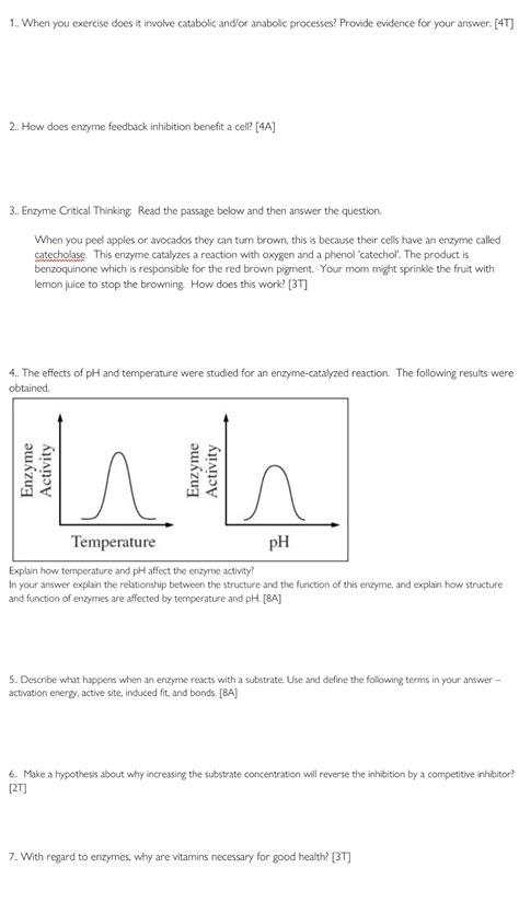 Enzymes 4 Effect Of Ph On Enzyme Activity Conclusion
