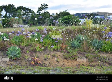 Prevent Soil Erosion Hi Res Stock Photography And Images Alamy