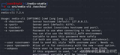 Redis未授权访问 CSDN博客