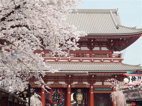 日本邮政小包 国际小包 深圳市华熙国际供应链有限公司