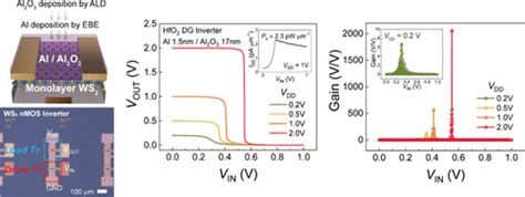 Realization Of Extremely High Gain And Low Power In Nmos Inverter Based On Monolayer Ws2