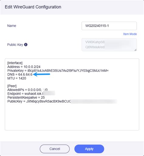 Dns Leak Test And Recommended Settings For Remote Work Gl Inet