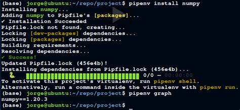 Pipenv Django Youpynetwork