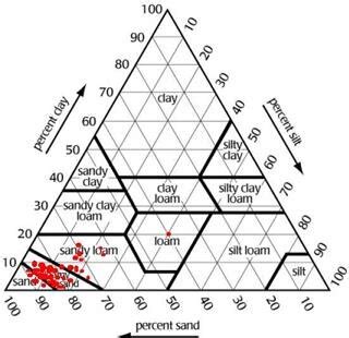 Texture Triangle Of Soil Samples Collected From Various Locations Of Download Scientific