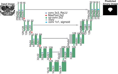 Figure 2 From A Deep Learning Model For Automatic Detection And Classification Of Disc