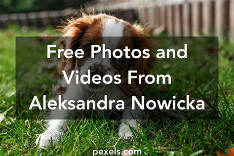 Aleksandra Nowicka Photography