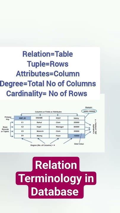 Rdbms Terminologytuple In Relation Attributes In Relation Degree In A Relation Youtube