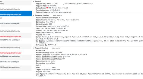 Javascript Request Method Options When I Make Get Request Stack