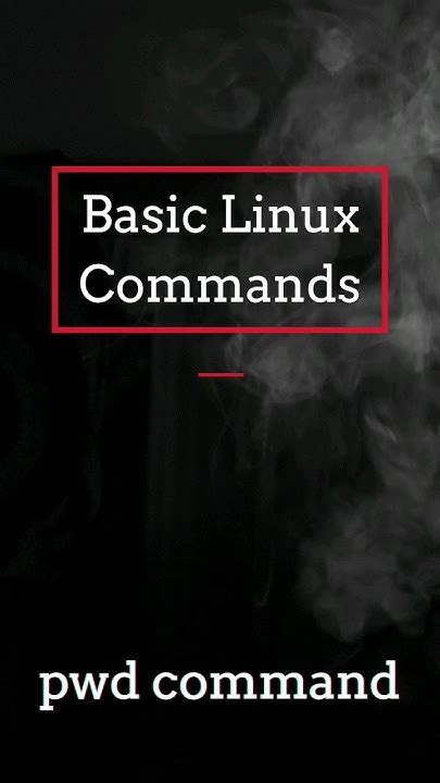 Basic Linux Commands For Beginners Important Linux Commands Tutorial