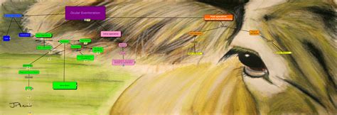 Eye Enucleation 2 Last Editted