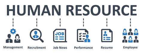 인적 자원 아이콘 벡터 일러스트 레이 션 직업 직원 모집 Hr 조직 관리 인포 그래픽 템플릿 프리젠 테이션 개념 배너 픽토그램 아이콘 세트 아이콘 웹 배너에 대한 스톡 벡터