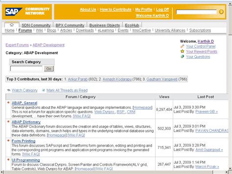 Sap Themes And Skins