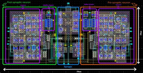 It Is An Analog Spiking Neural Network With 2 Conductance Based Neurons