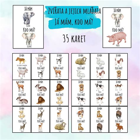Zvířata A Jejich Mláďata Já Mám Kdo Má Inspirace Nejen Do školky