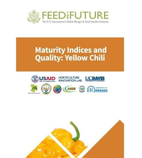 Maturity Indices And Quality Yellow Chili Feed The Future Innovation